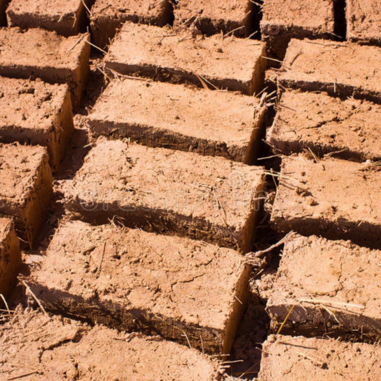 Sun Dried Bricks – eCement